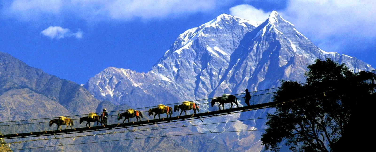 Private Or Group Tour Package in Nepal? | Yakky Tours